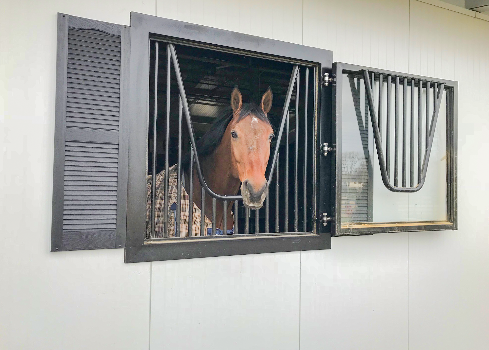Dutch Doors and Stall Windows - Saratoga Stalls
